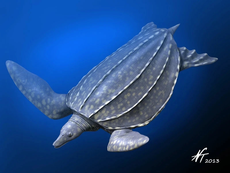 Необычные древние морские черепахи - Черепахи.инфо